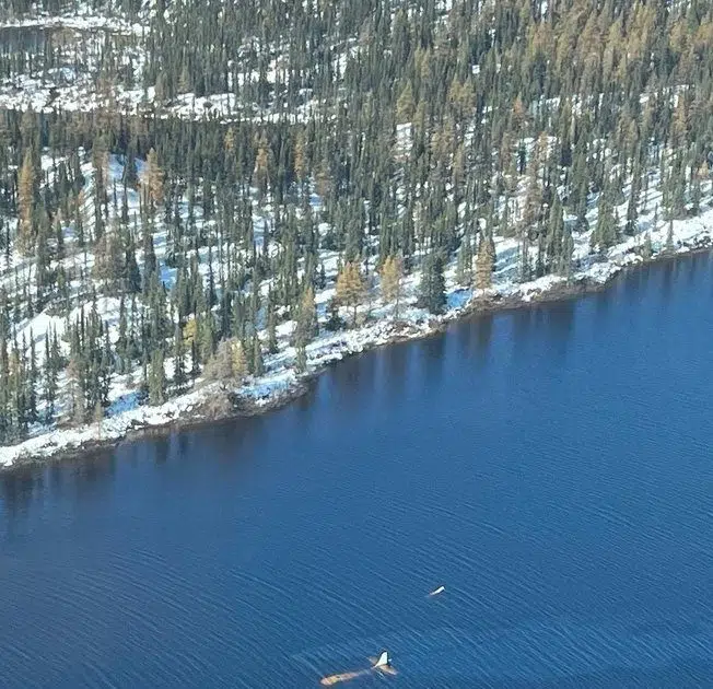 Plane crash rescue | Quinte News