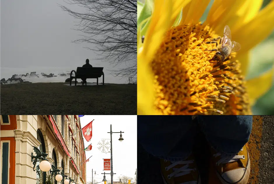 Bay of Quinte Student Photography Show Coming to Quinte Arts Council ...