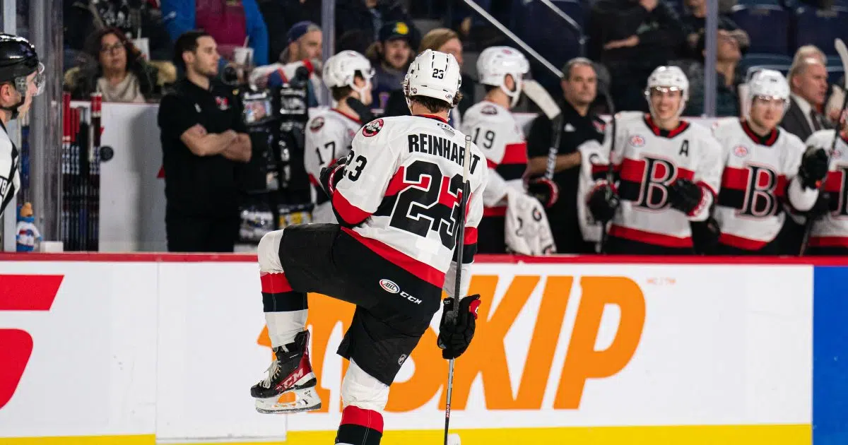 Senators sign forward Cole Reinhardt to one-year, two-way contract ...