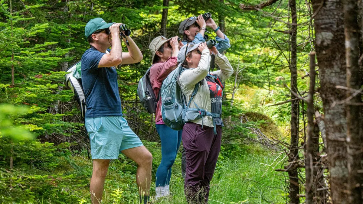 Join the long weekend Big Backyard BioBlitz | Quinte News