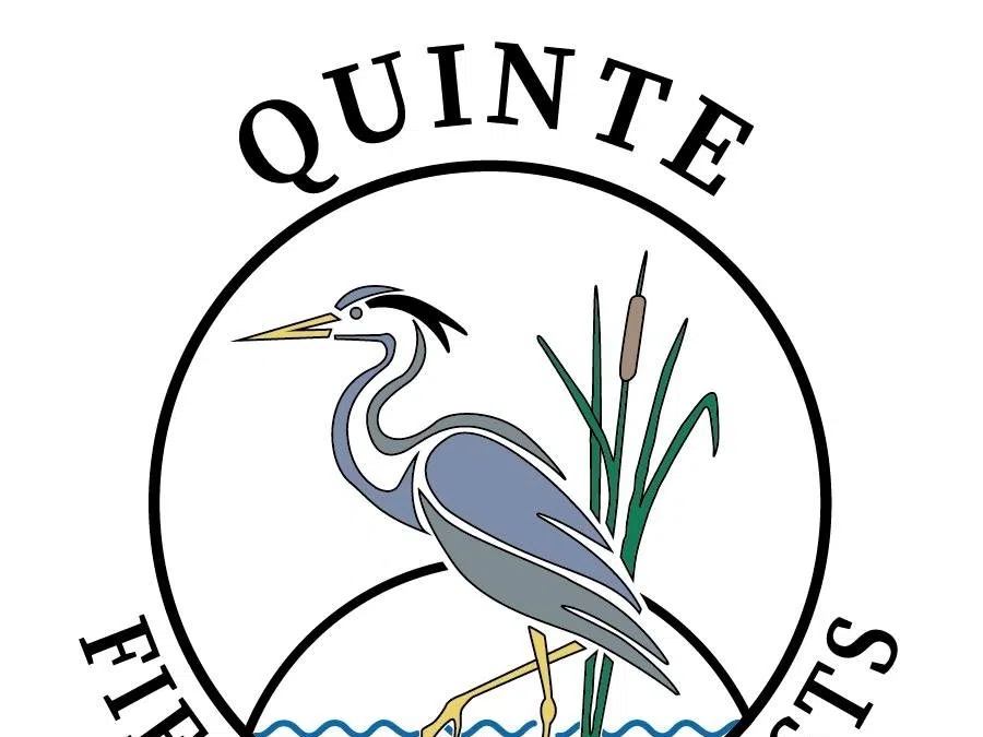 Tree planting in Belleville | Quinte News