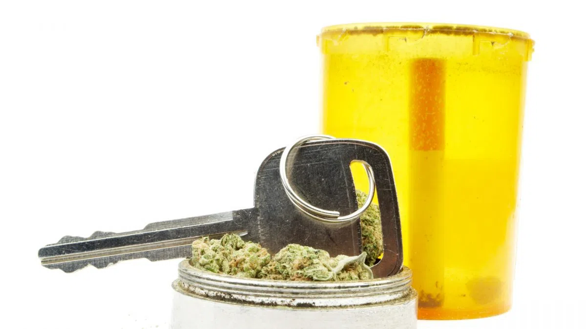 Cannabis use on the rise behind the wheel | Quinte News