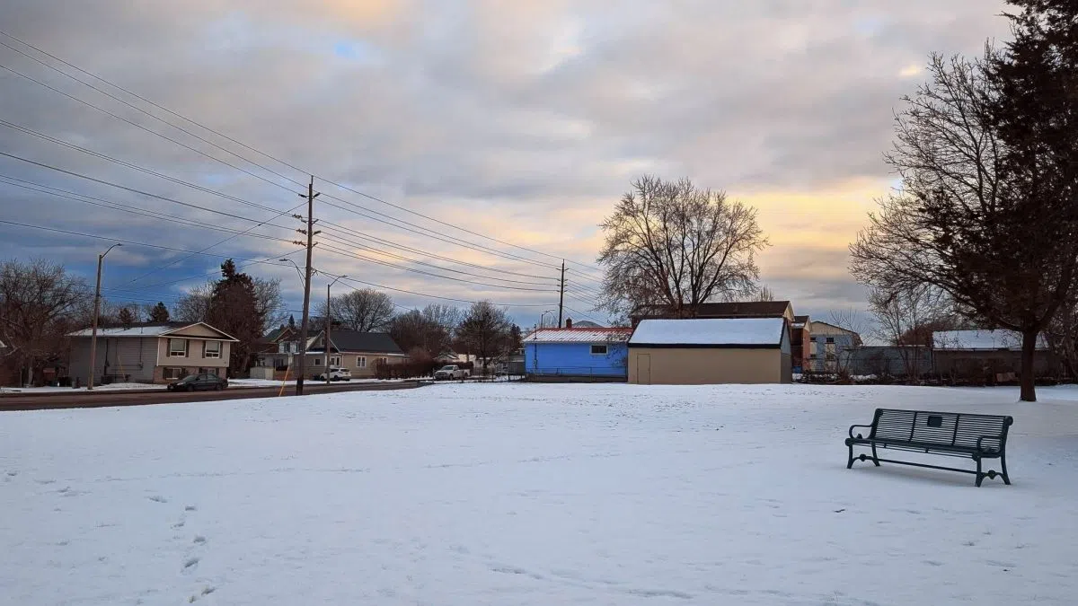 Feedback needed to Elgin Park upgrades | Quinte News