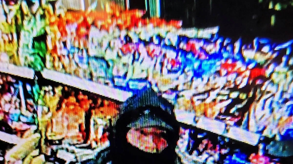 Peterborough OPP Looking for public’s help to identify shoplifting ...