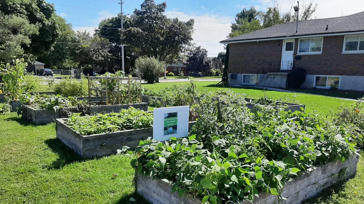 Registration open for CDC Quinte’s 2025 Community Garden Program ...