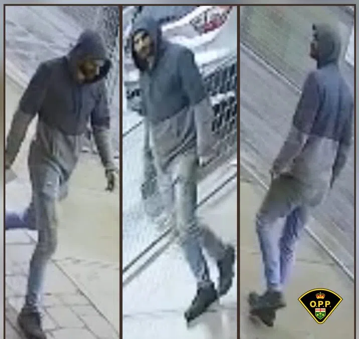 OPP seeking suspect following incident in Madoc | Quinte News