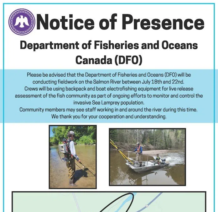 DFO conducting field work on the Salmon River | Quinte News