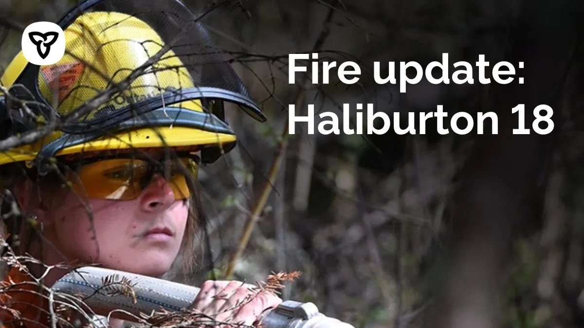 Wildfire situation improves in Marmora and Lake | Quinte News