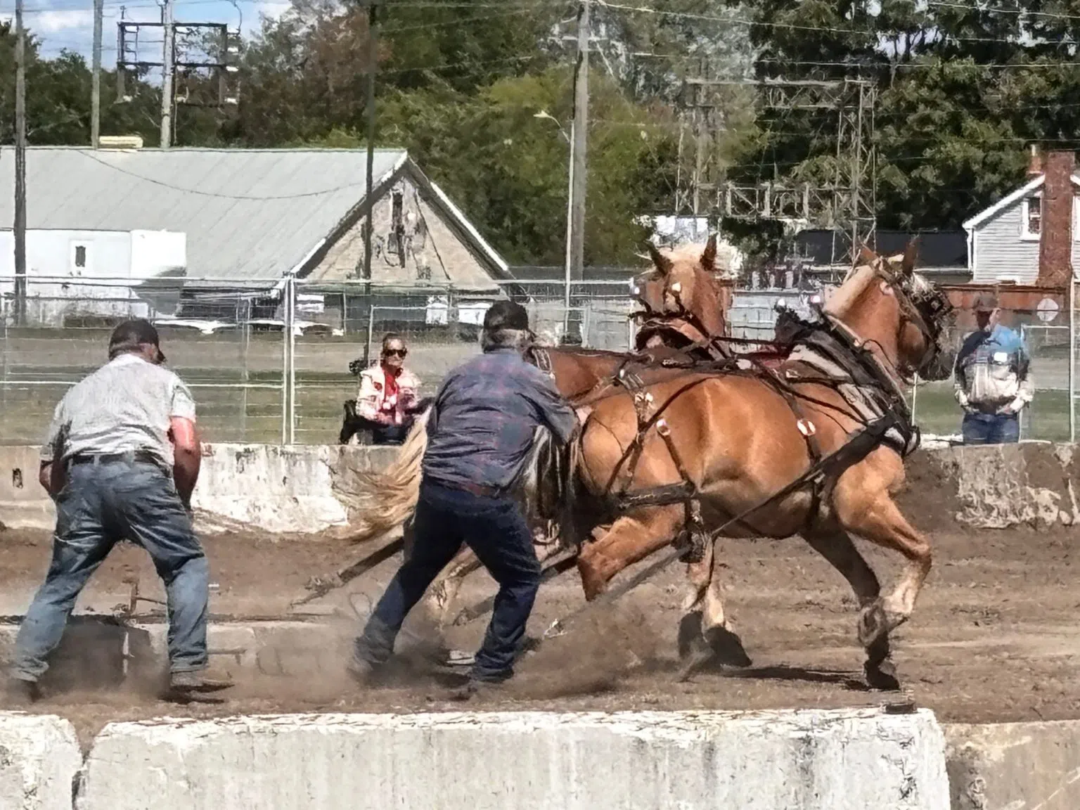 PHOTOS: Quinte Exhibition 2025 | Quinte News