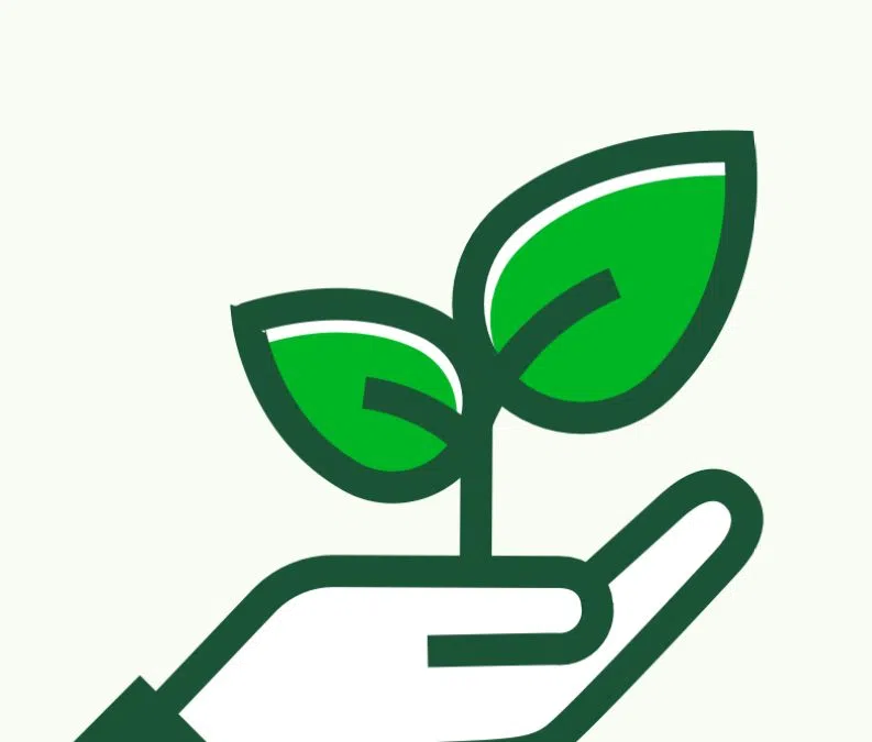 Volunteers still needed for TD Tree Days Saturday | Quinte News