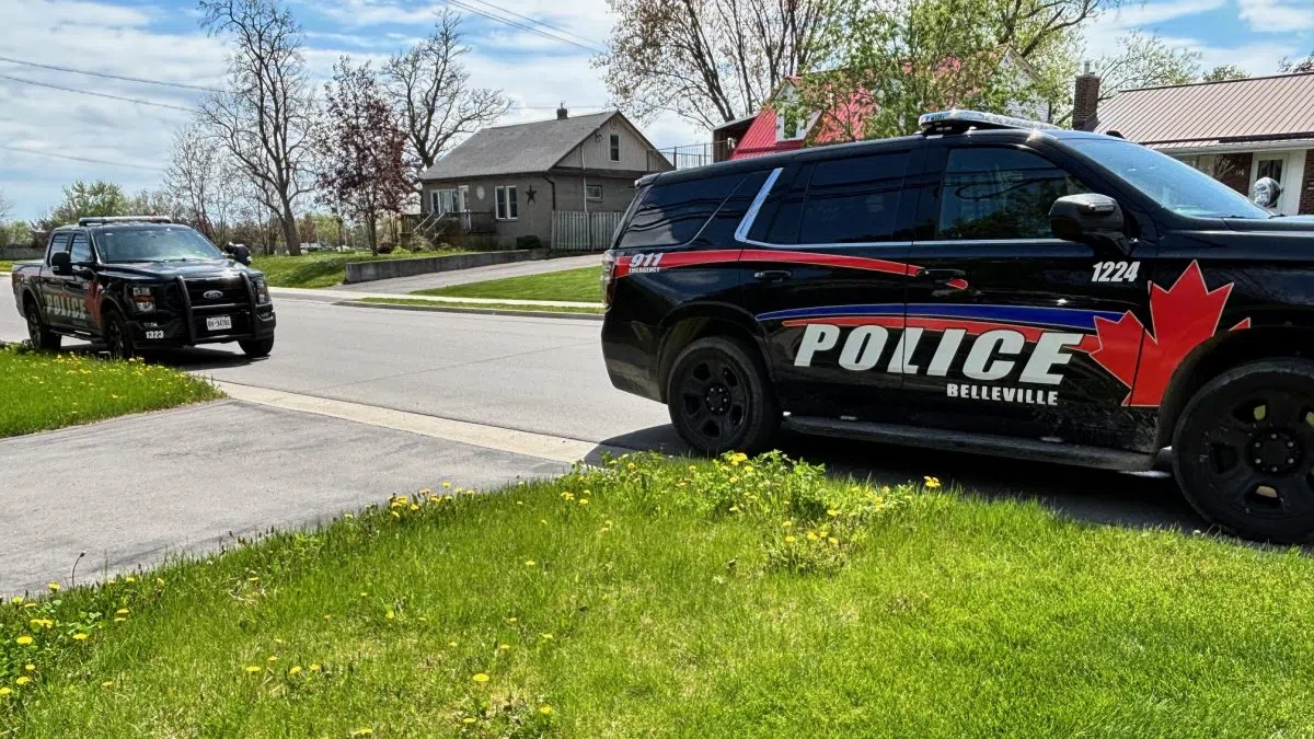 Disturbance call leads to separate investigation into intimate partner ...