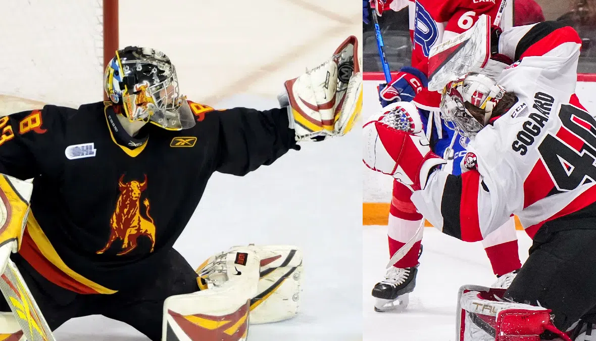 More Belleville connections to the Olympics | Quinte News