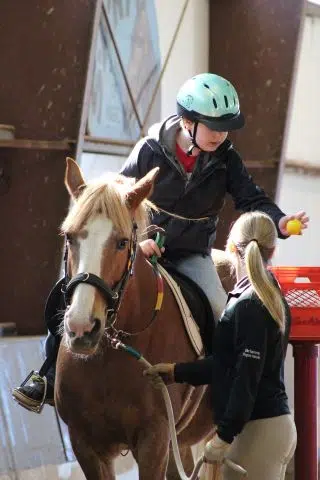 Therapeutic riding for individuals with special needs | 106.9 The X