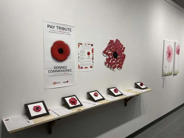 “Growing symbols of hope:” Fanshawe’s sustainable Poppy Project | 106.9 ...