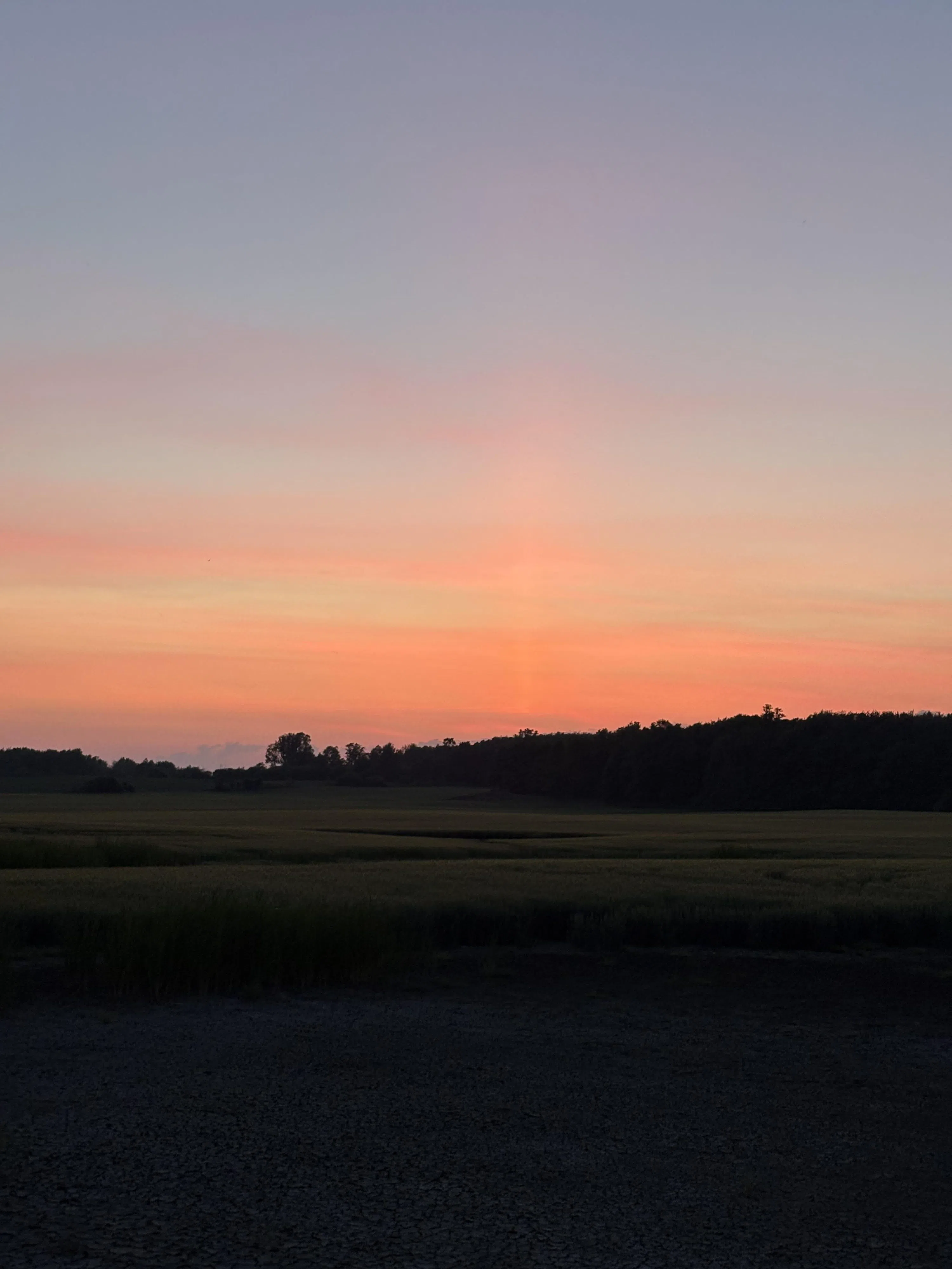 Dangerous heat and humidity: How to stay safe from heat-related illness ...