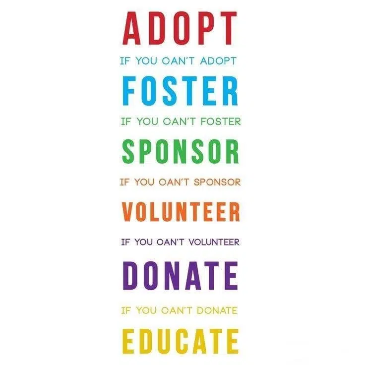 Adoption Awareness Month a reminder that all children deserve a ...