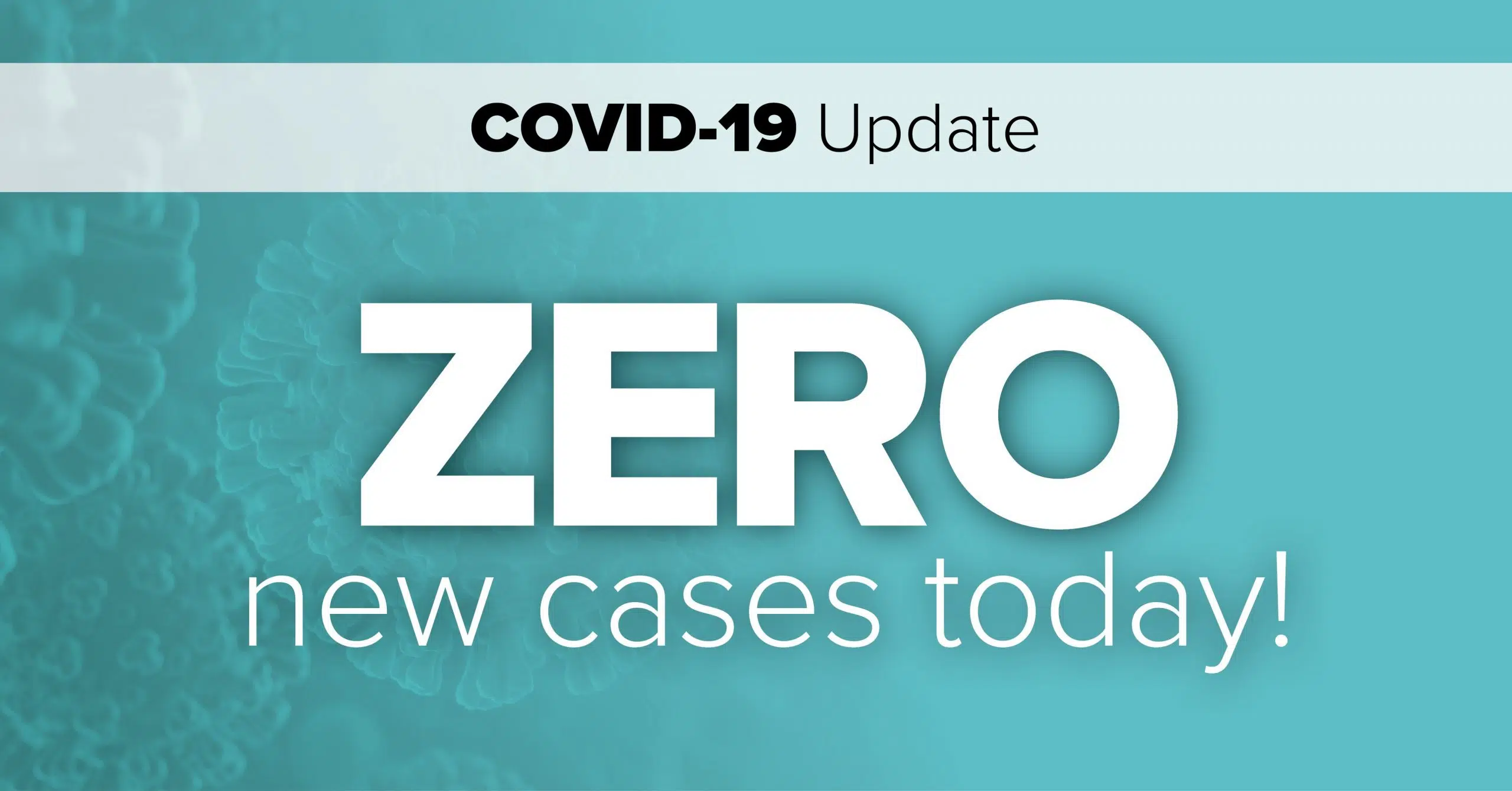 COVID-19: KFL&A reporting no new cases, 75% of adults now fully ...
