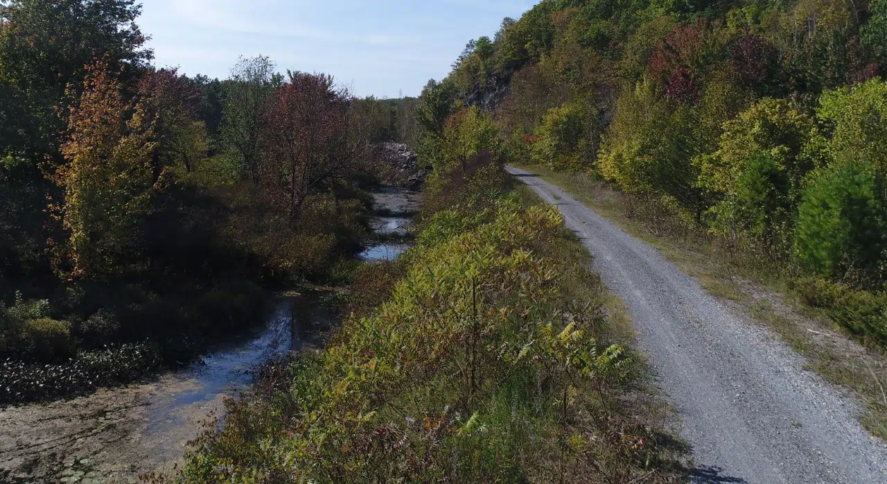 Hike the Cataraqui Conservation Trails and win prizes | Napanee Today