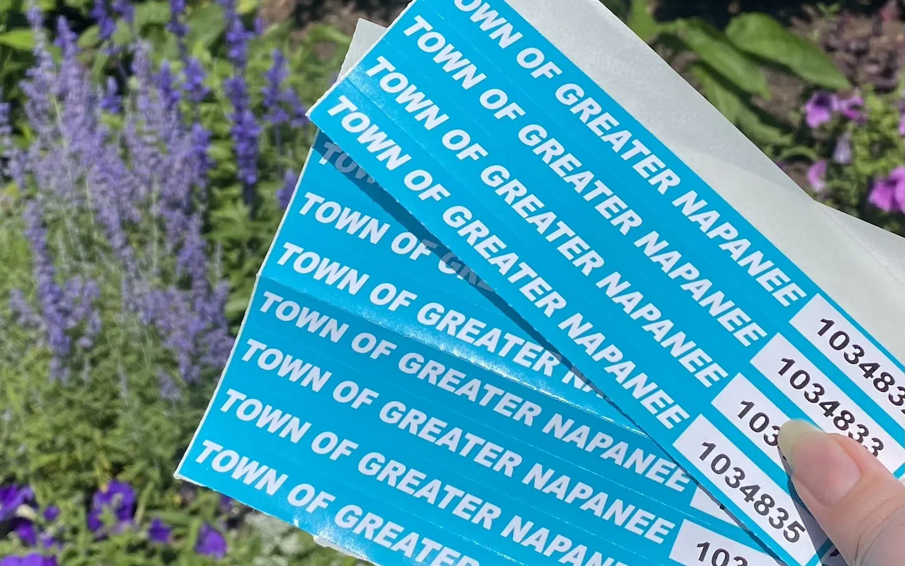 Here’s when Greater Napanee will receive garbage bag tags in the mail ...