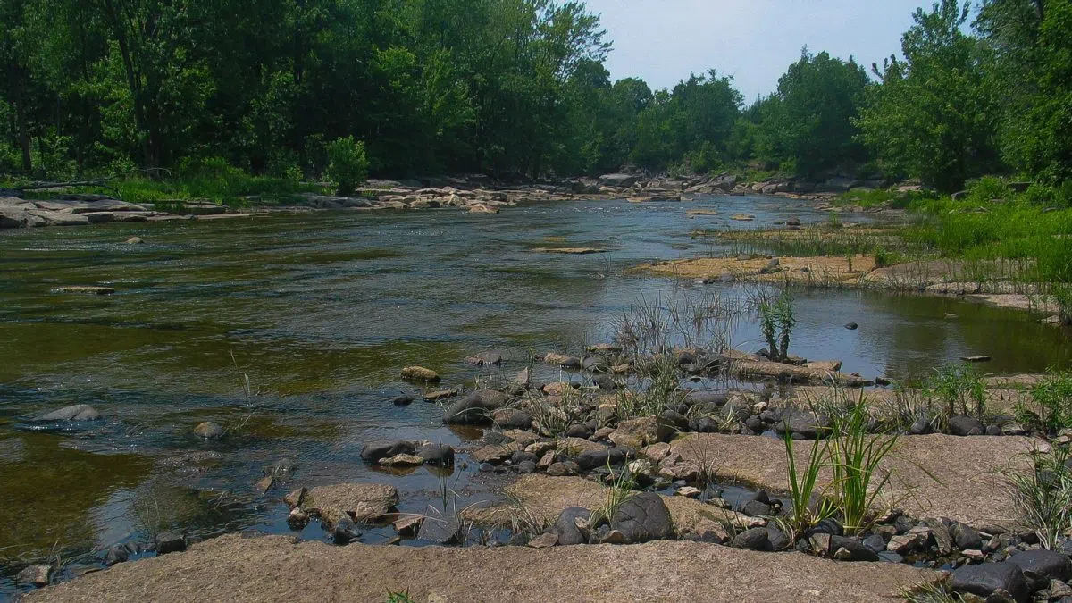 73 hectares of old-growth forests and wetlands along Moira River now ...
