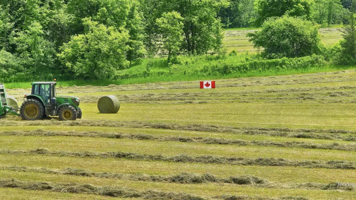Like Spike organizers going local for 2026 festival | Napanee Today