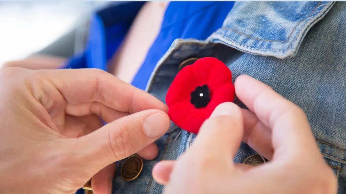 Respect and gratitude shown: Get your Poppy to support the Legion and ...