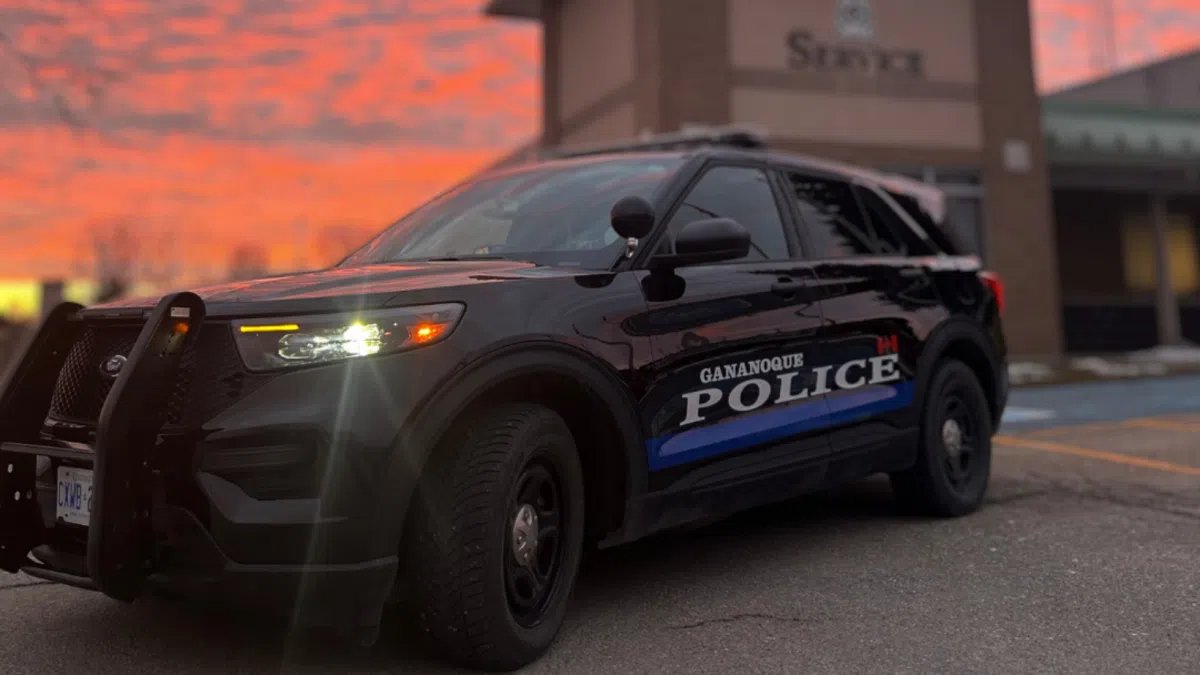 Frankville man faces multiple charges after fleeing Gananoque Police ...