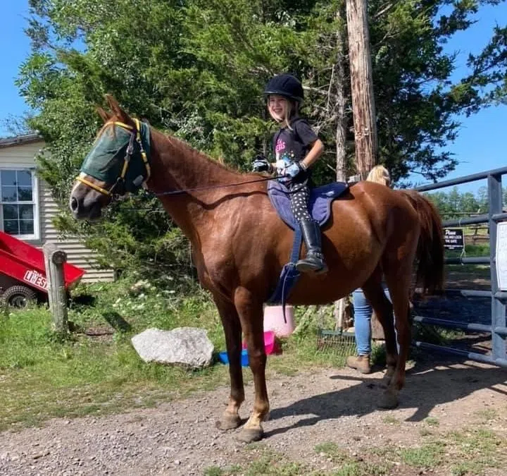 Seeds of Success: Second Chance Ranch | GananoqueNow.ca