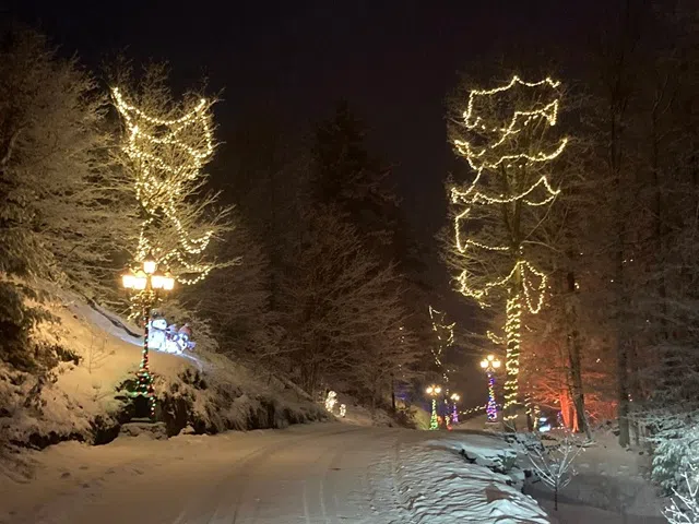 WHAT’S GOOD: Patry Family turns their home into a holiday landmark ...