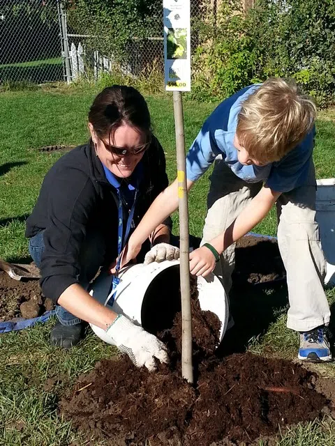 Otonabee Conservation celebrates National Forest Week by planting more ...