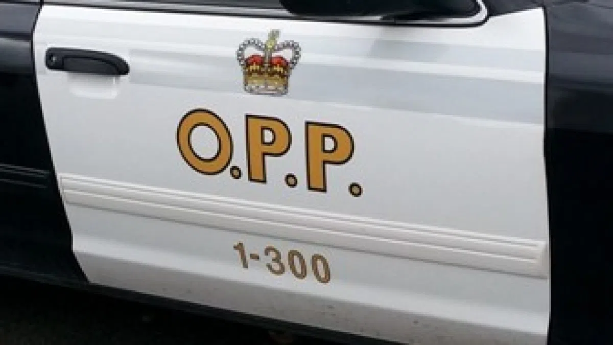 OPP on the hunt for a fourth suspect in vehicle theft investigation ...