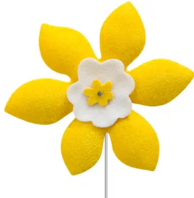 Canadian Cancer Society running annual daffodil campaign virtually ...