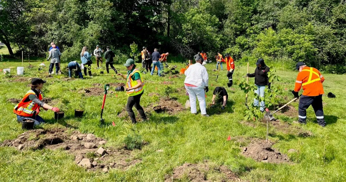 Otonabee Conservation Marks National Forest Week with Tree Planting ...