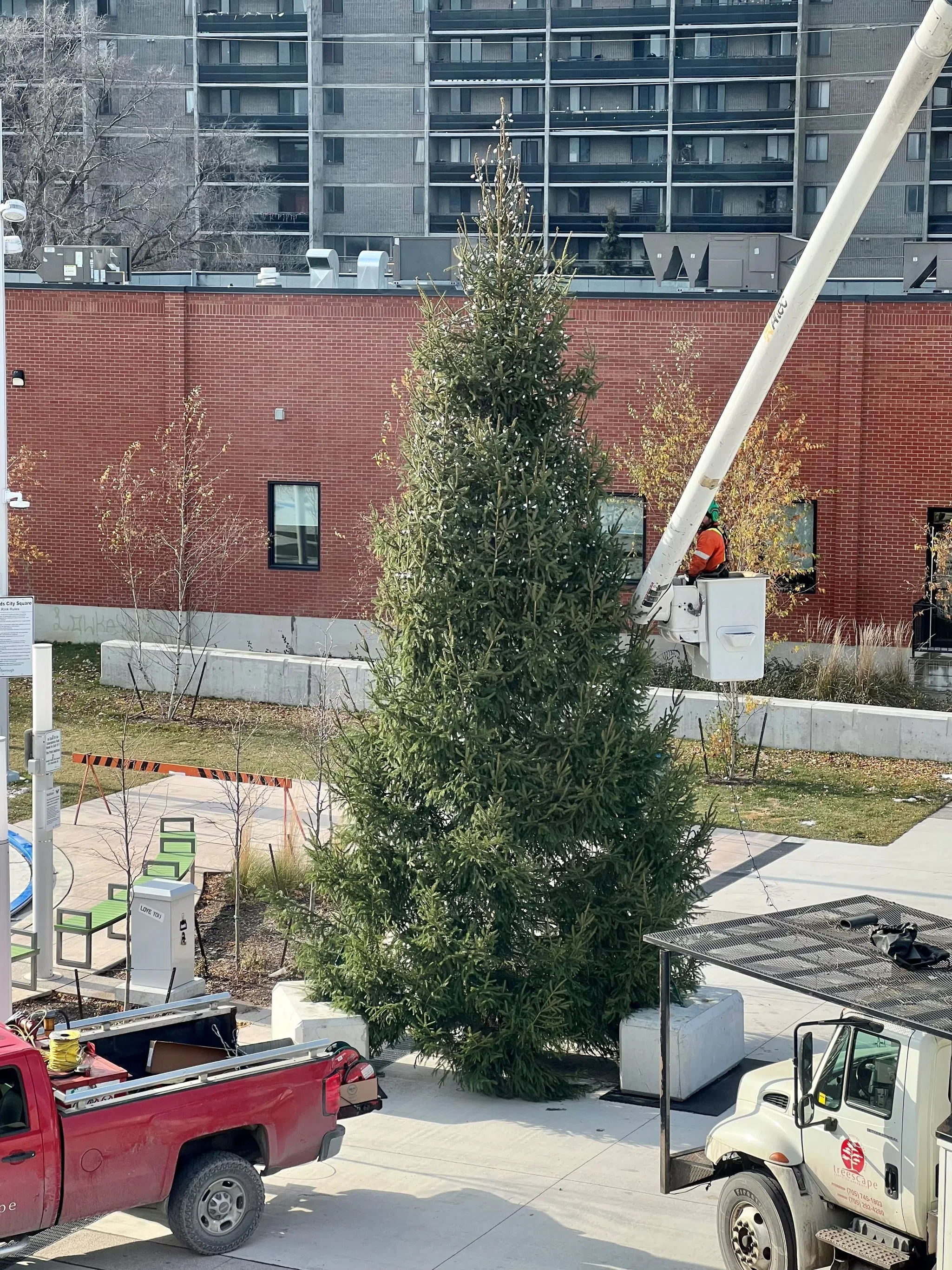 Quaker City Square set to shine with festive tree | 105.7 Strathroy Today