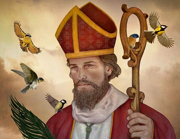 On this Valentine’s Day, avoid the don’ts and let love prevail | PTBO Today