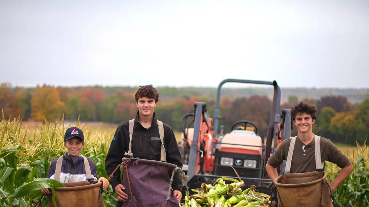 Seeds of Success: Angus Leahy, Leahy’s Farm & Market | PTBO Today