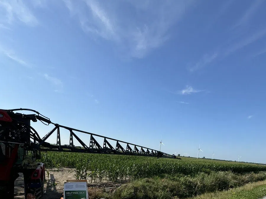 Seeds of Success: Tim Webster, Springdale Farms | PTBO Today