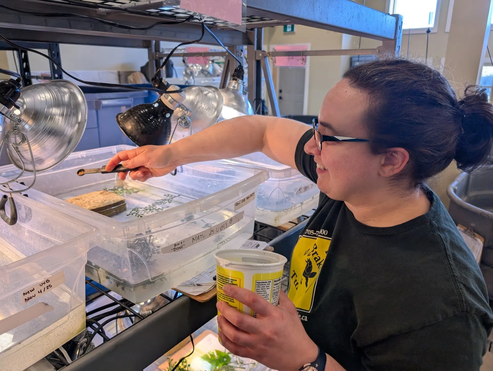 One shell of a good time: Ontario Turtle Conservation Centre searching ...