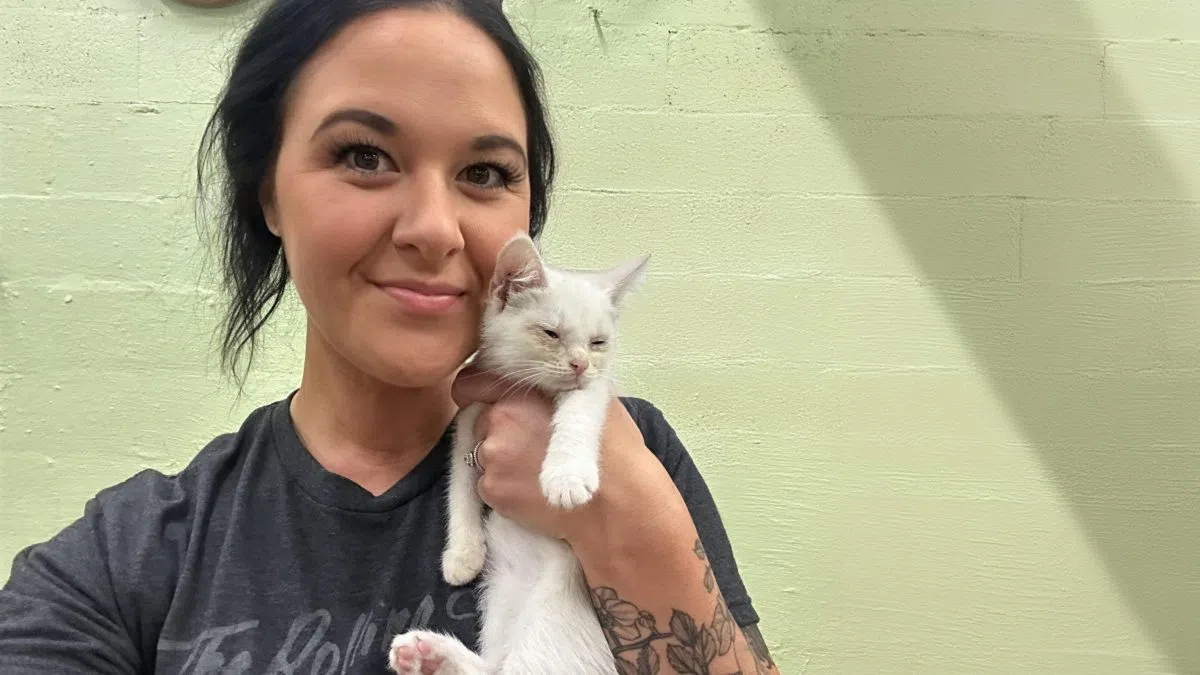 Highway To Home: Tail-less Swift | 102.9 The Buzz