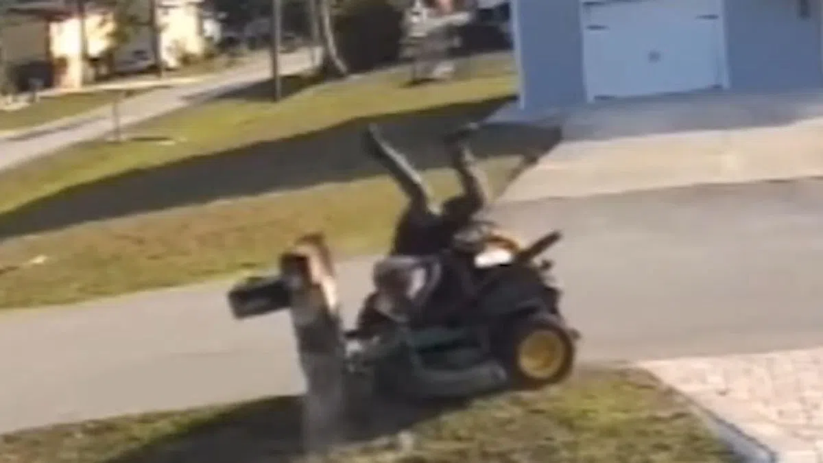 Florida Man Crashes Into Mailboxes on Riding Lawnmower | 102.9 The Buzz