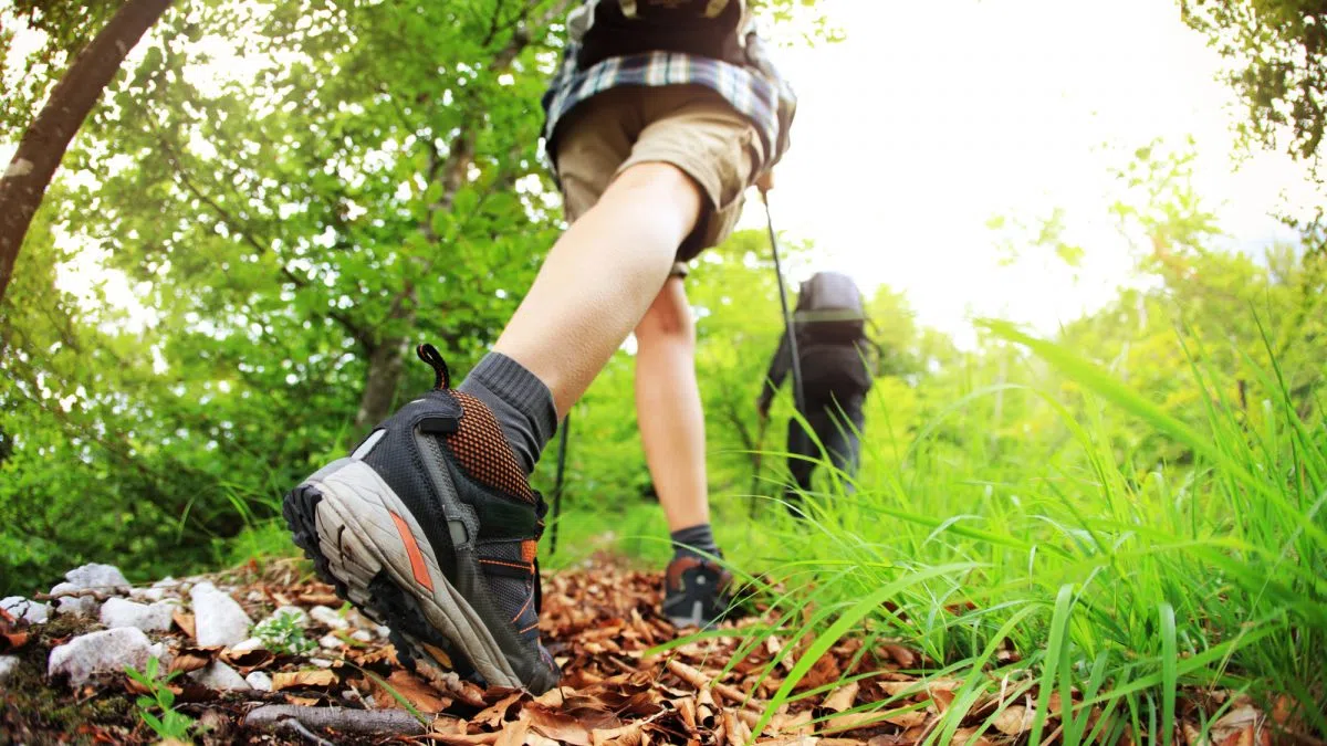 Mushroom-Tripping Hikers Mistakenly Report Their Companion’s Death | 102.9 The Buzz