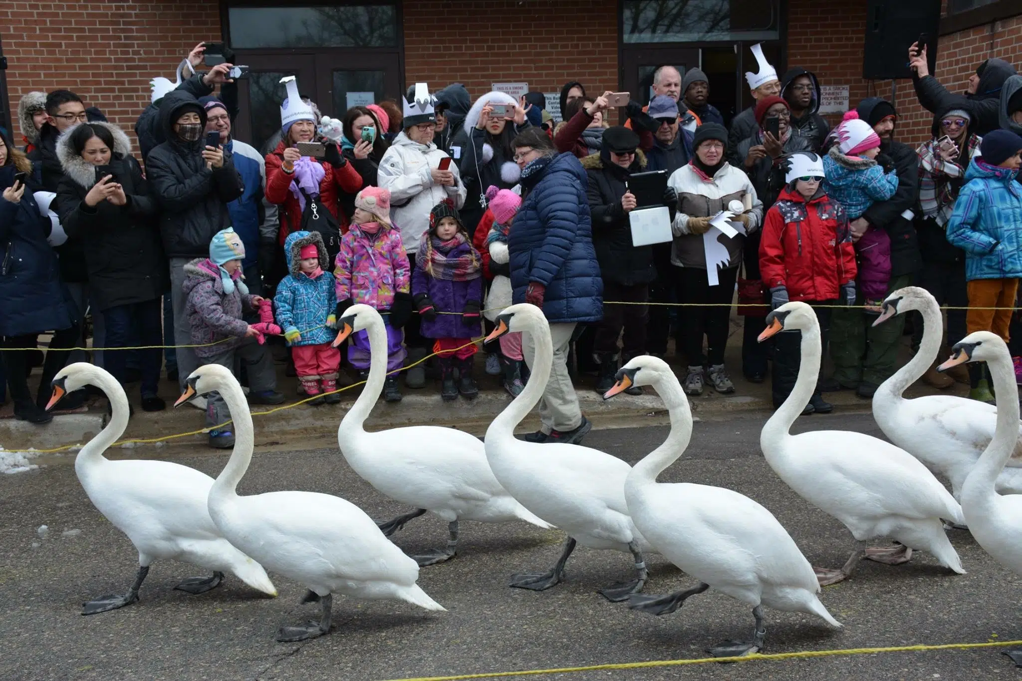 Stratford welcomes spring with Swan Parade | CFRL