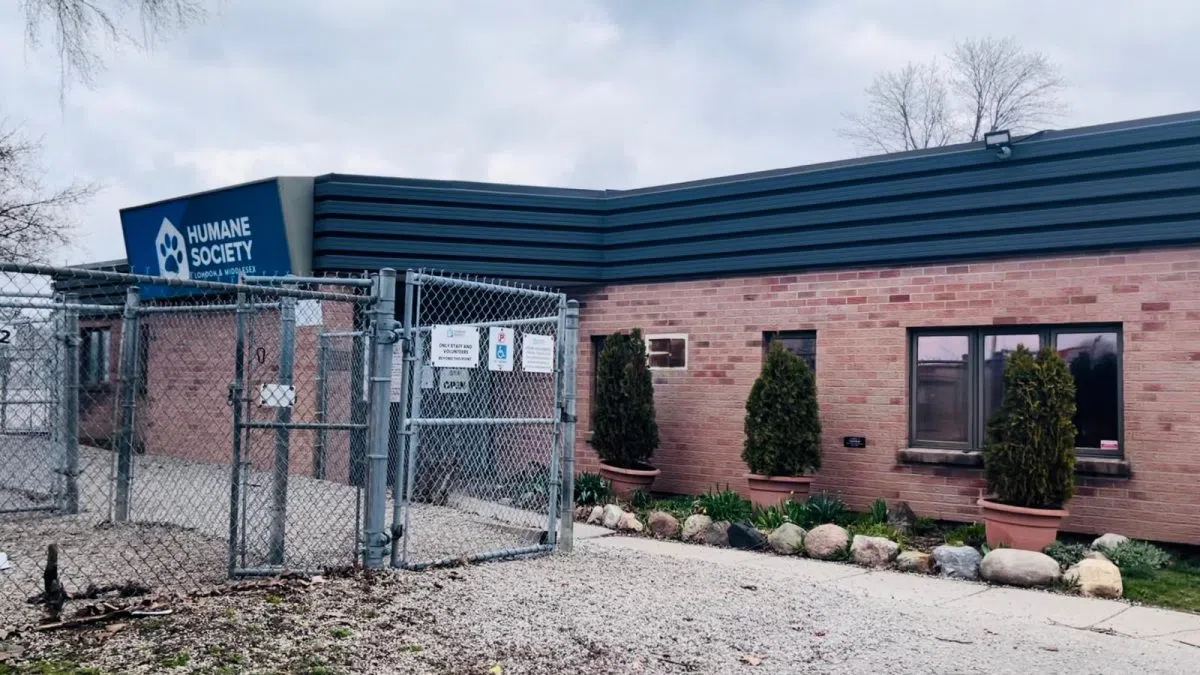 A Haven of Hope – London Humane Society’s Story | CFRL