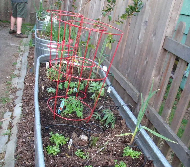 Develop your gardening skills with Essa Public Library | FM92 South ...