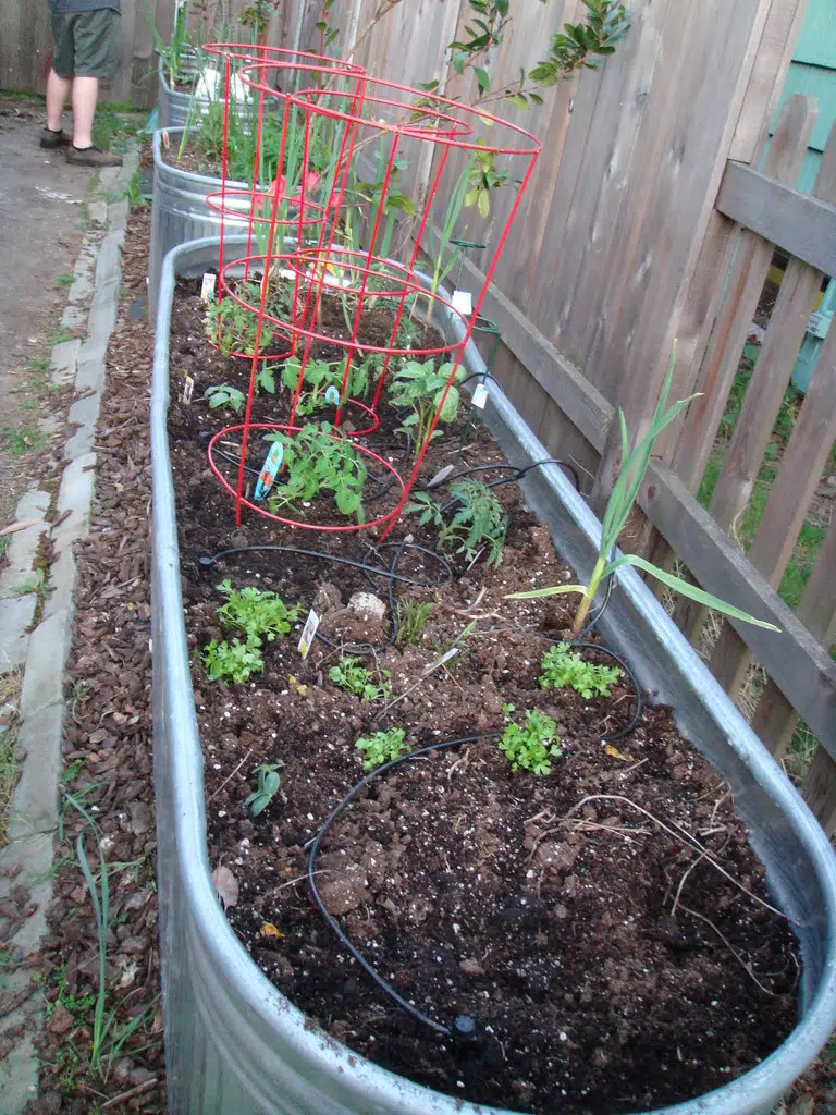 Develop your gardening skills with Essa Public Library | FM92 South ...