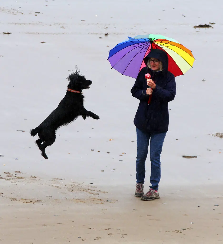 South Simcoe Forecast for Monday April 28 | FM101 Milton Now