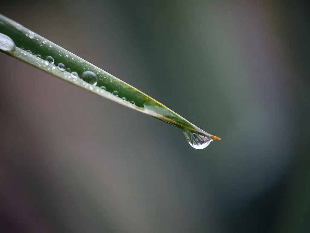 South Simcoe Forecast for Friday May 3 | FM92 South Simcoe Today