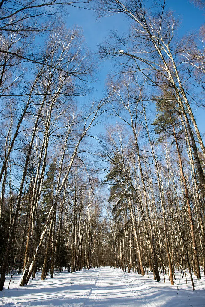 South Simcoe Forecast for Tuesday February 6 | FM92 South Simcoe Today