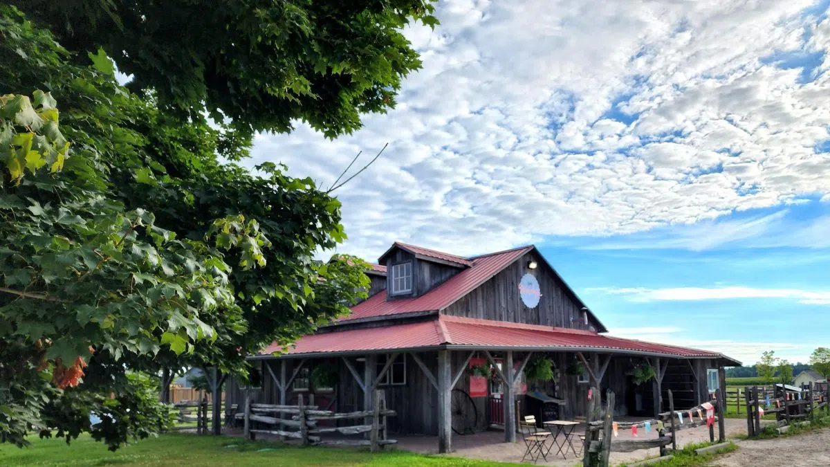 Simcoe County’s First Pick-Your-Own Tulip Event! | FM92 South Simcoe Today