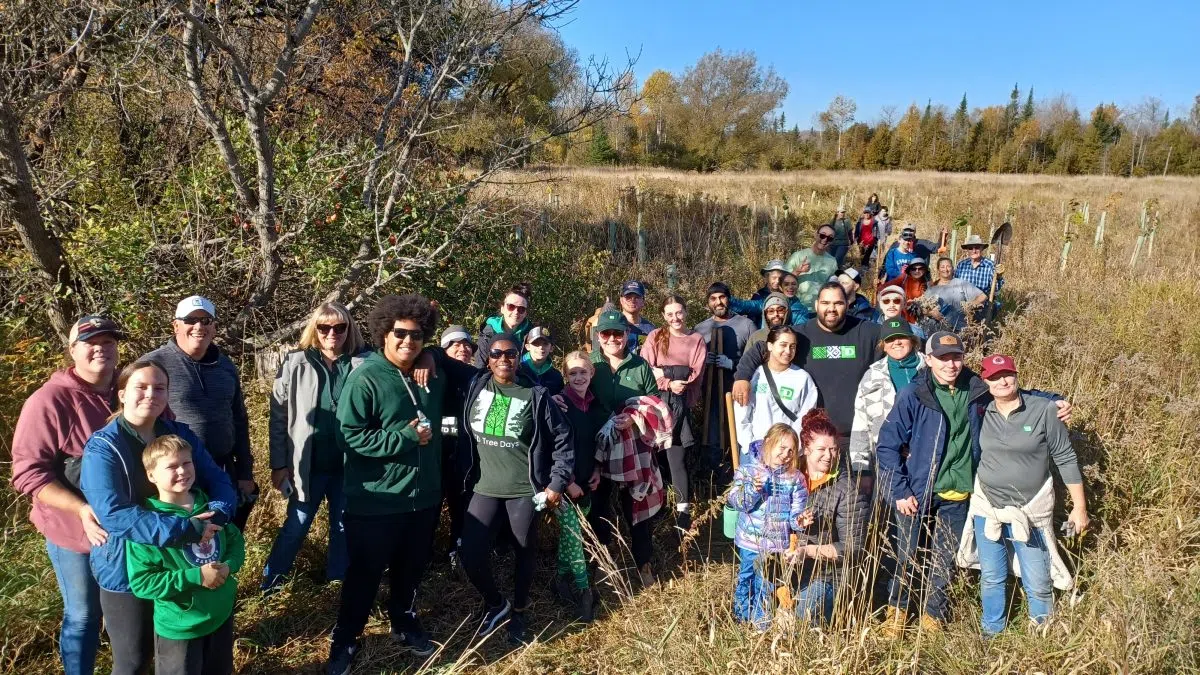 Plant trees with Nottawasaga Valley Conservation Authority | FM92 South ...